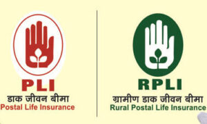 Promotional, Incentive and Monitoring Structure of PLI/ RPLI - CENTRAL ...